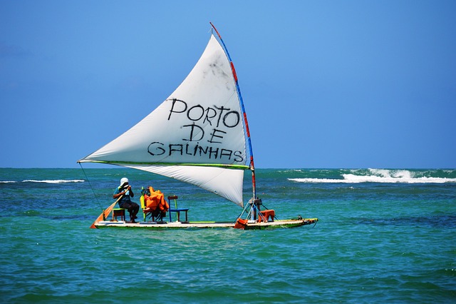 Chicken Port Beach Pernambuco - Free photo on Pixabay