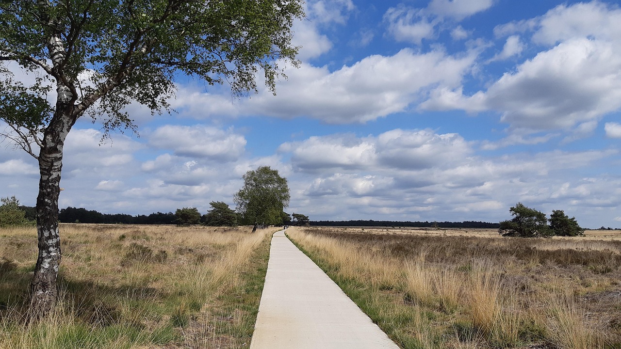 Veluwe Nature Paysage - Photo gratuite sur Pixabay - Pixabay