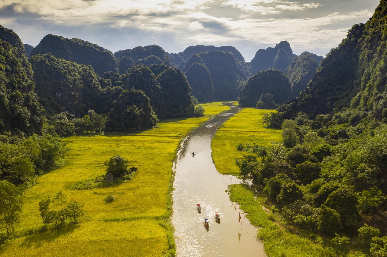 Tam Cốc Golden Harvest Rice Field - Free photo on Pixabay - Pixabay
