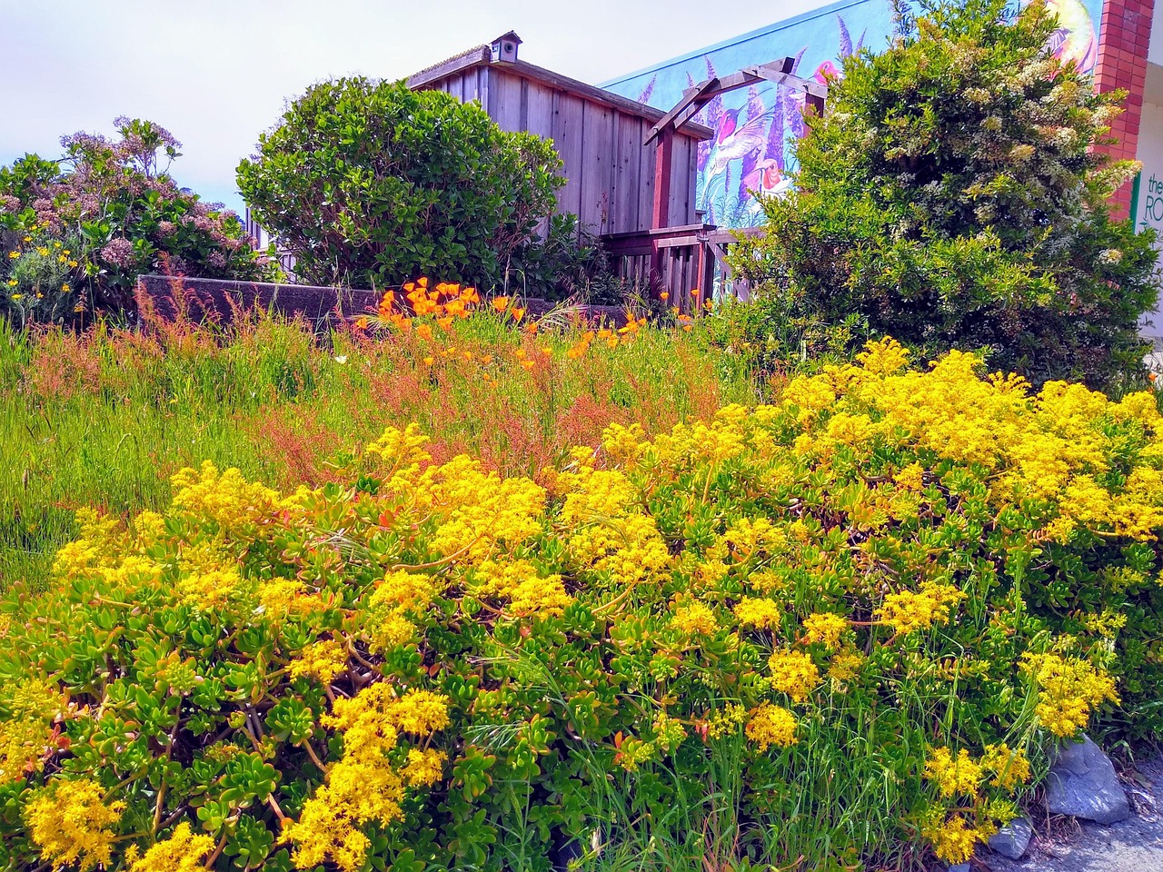 Sonoma Coast Point Arena - Photo gratuite sur Pixabay - Pixabay