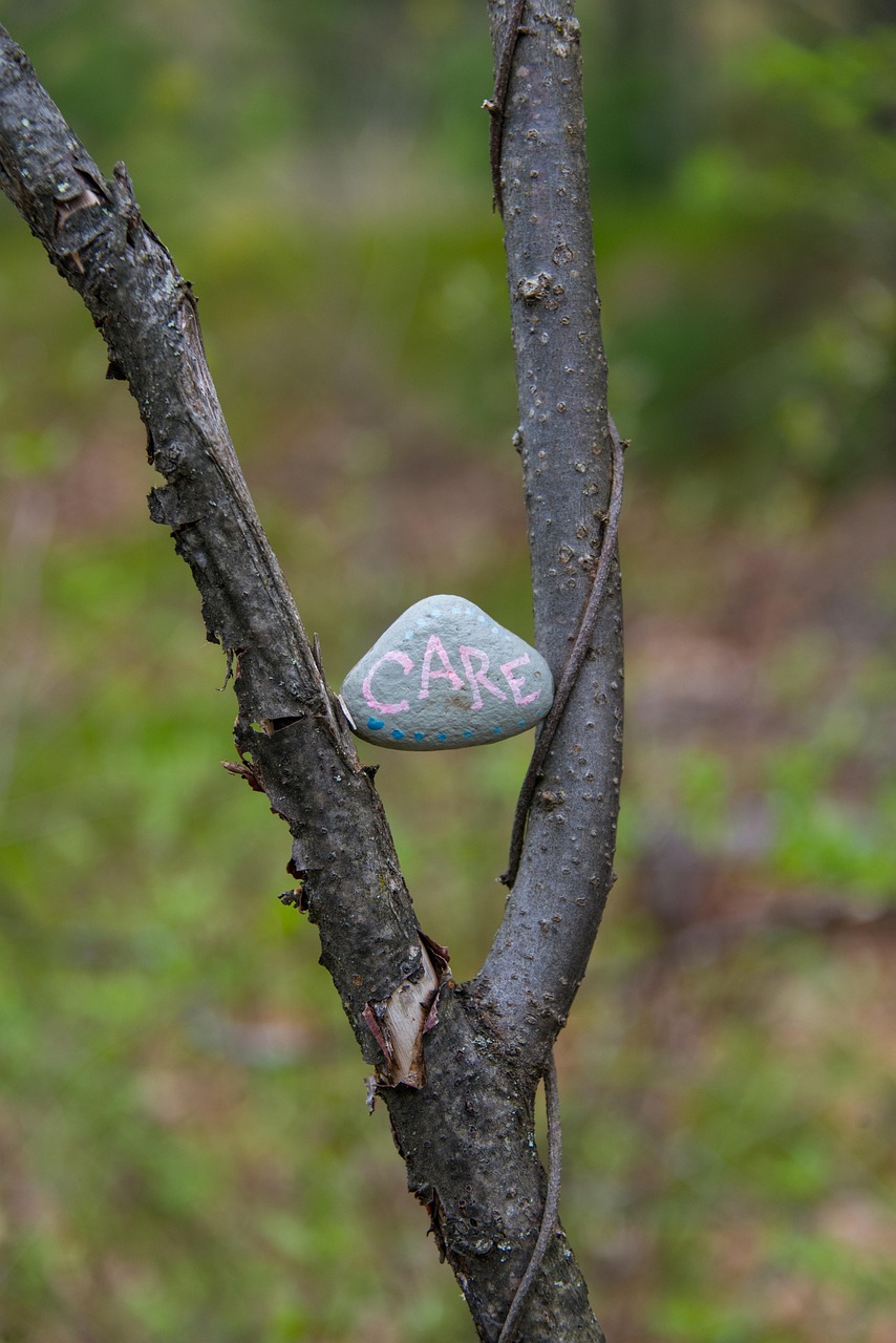 Care Rock Paint - Free photo on Pixabay - Pixabay