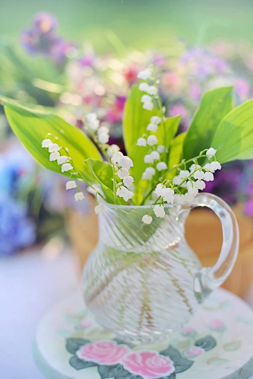 400,000+ Free May Flowers & May Photos - Pixabay