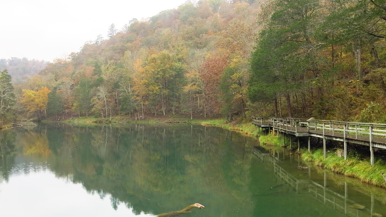 Fall Foliage Sungai Alam - Foto gratis di Pixabay