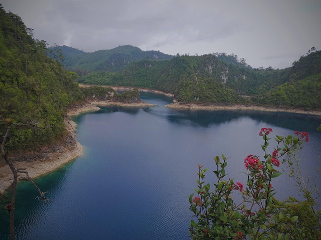 Lake Landscape Chiapas - Free photo on Pixabay - Pixabay