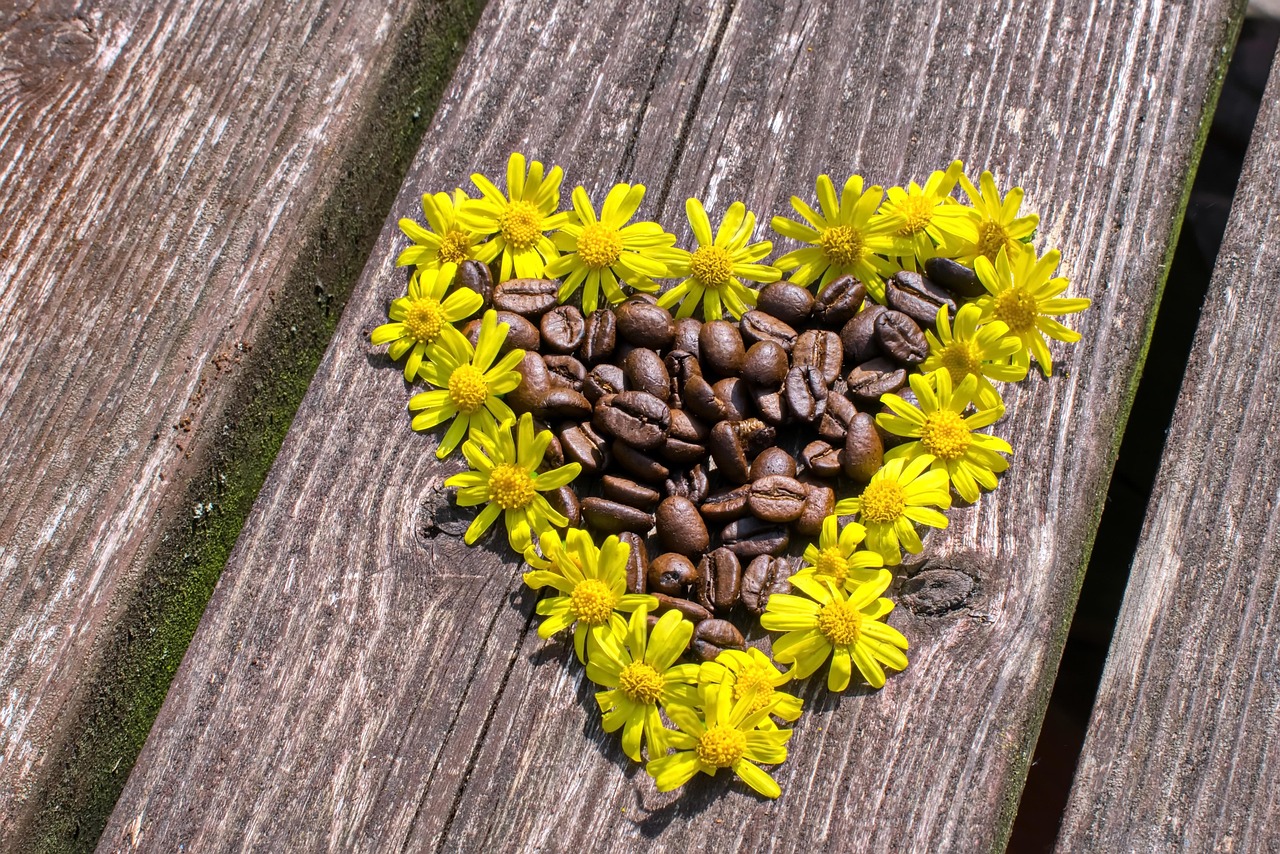 Bunga Hati Kopi Biji - Foto gratis di Pixabay - Pixabay