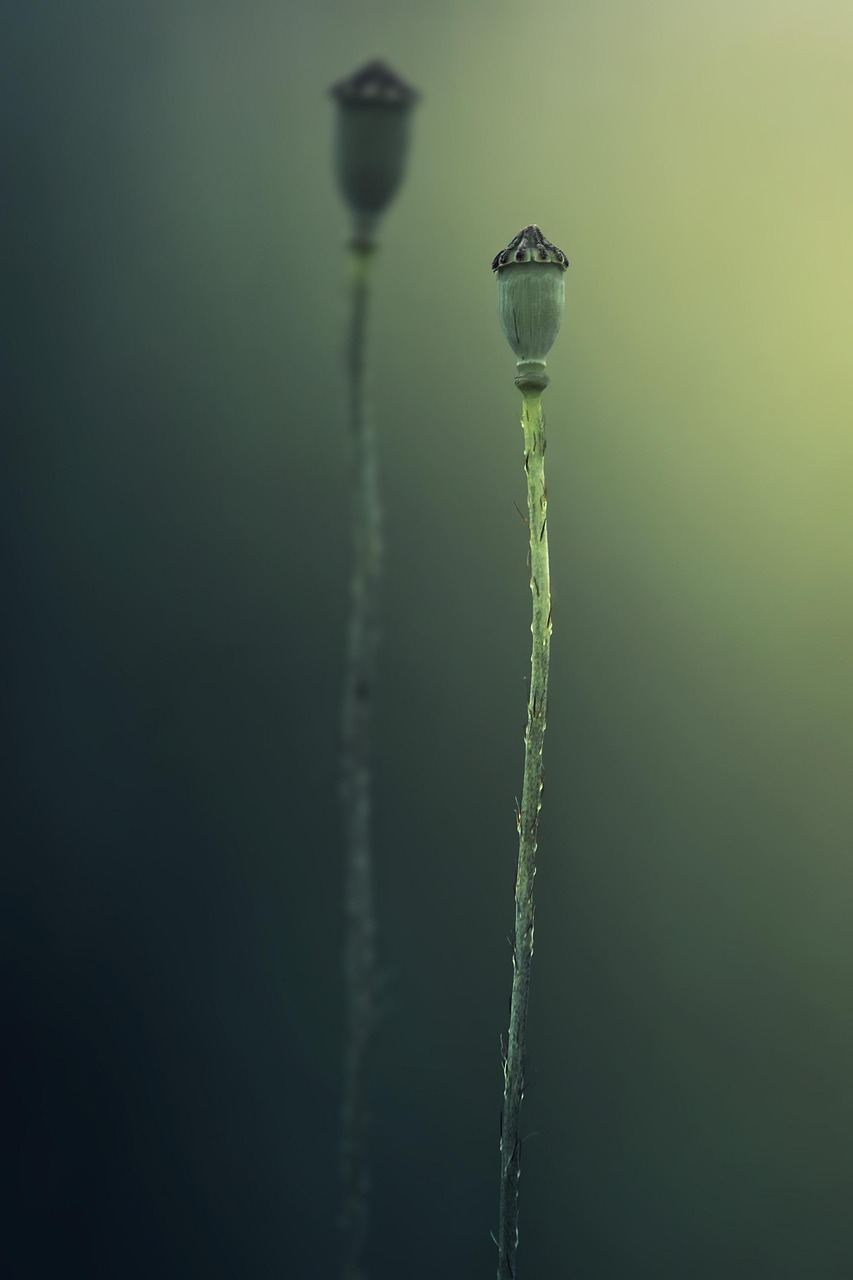 400,000+ Free Faded Backgrounds & Faded Images - Pixabay