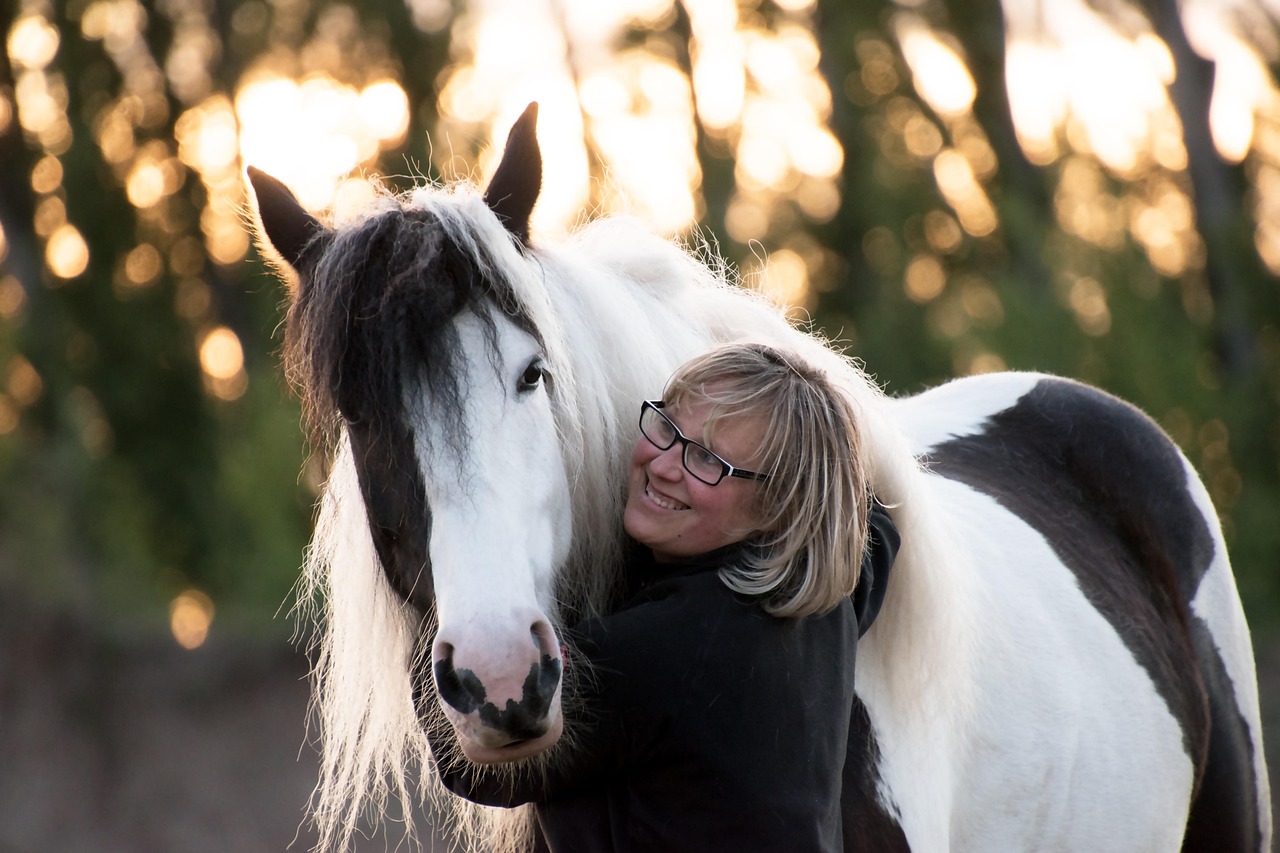Horse Tinker Animal - Free photo on Pixabay - Pixabay
