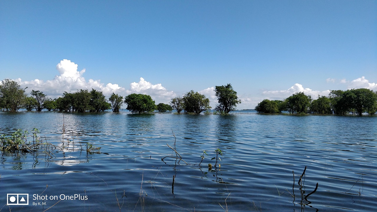 Alam Langit Dan Danau - Foto gratis di Pixabay - Pixabay