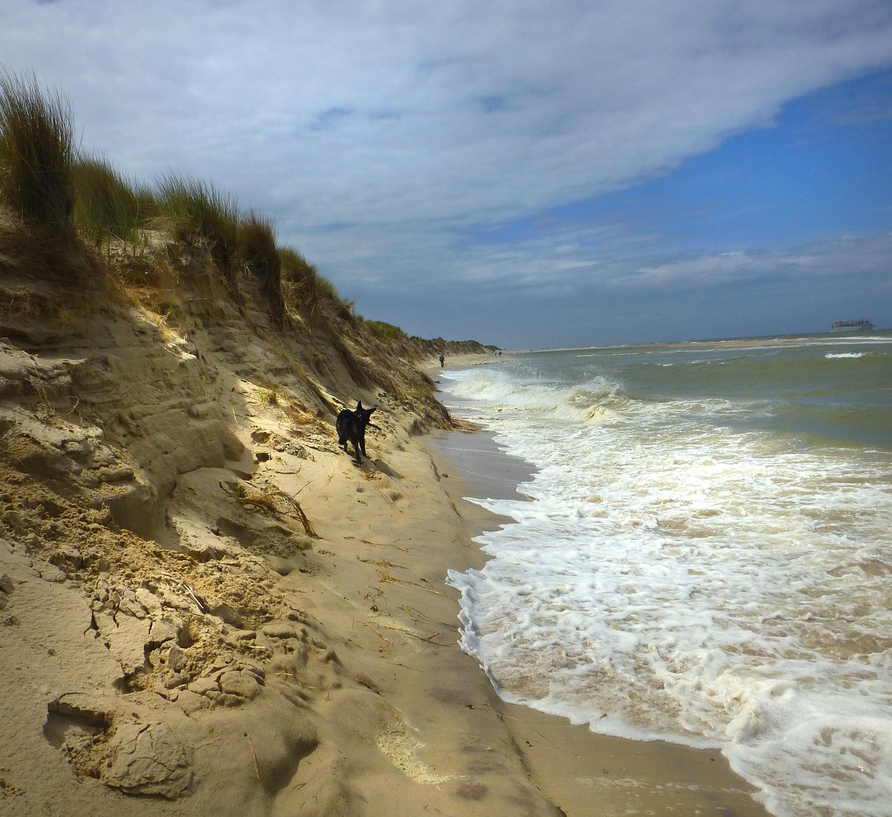 North Sea Sand Dunes Beach - Free photo on Pixabay - Pixabay