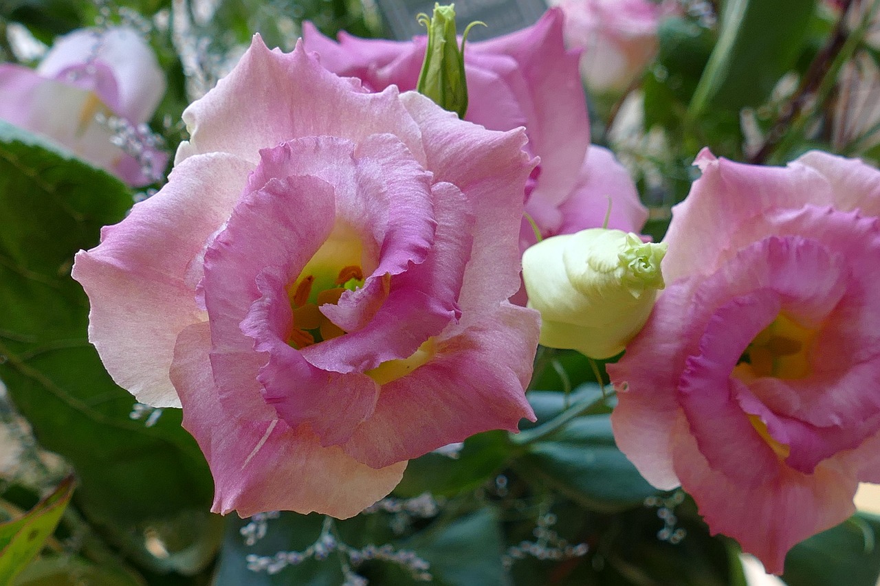 Flower Flora Bouquet - Free photo on Pixabay