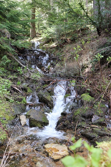 Water Stream Waterfall - Free photo on Pixabay - Pixabay