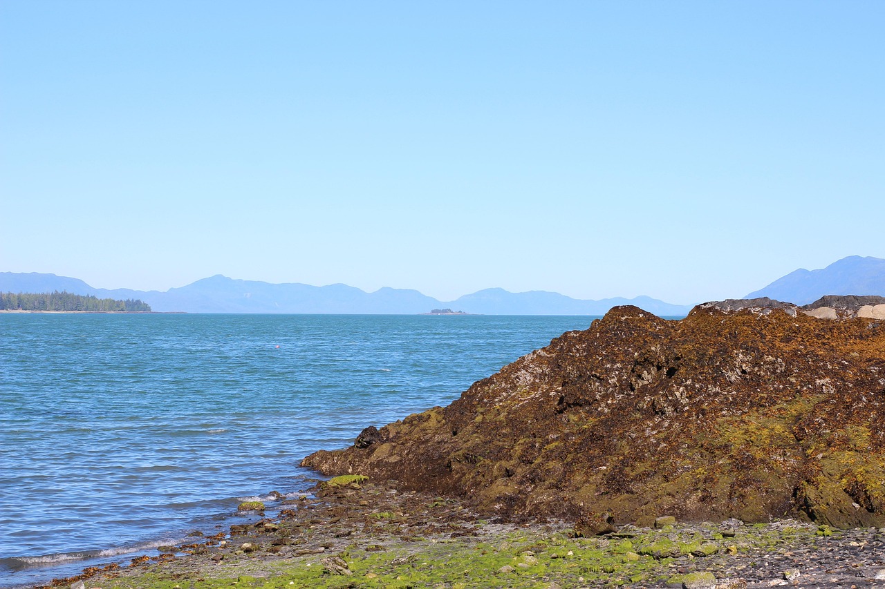 Coastline Shoreline Ocean - Free photo on Pixabay