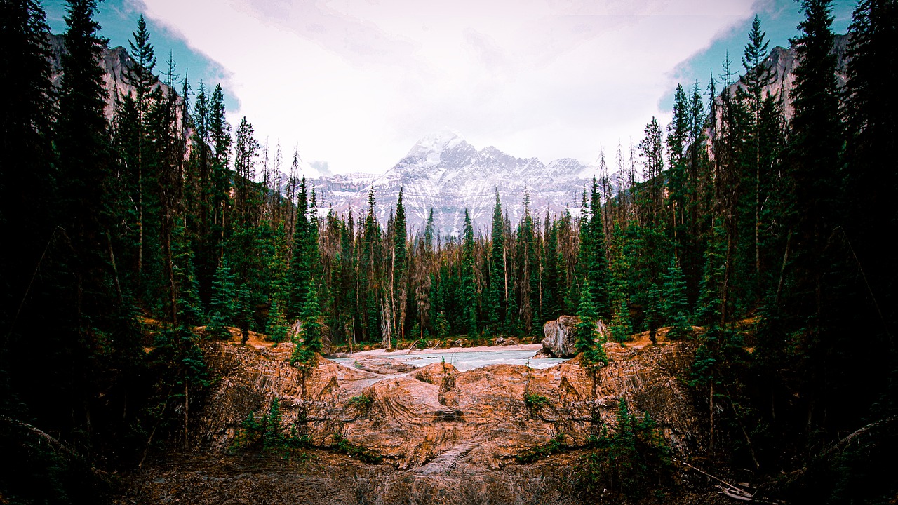 Beautiful Nature Backgrounds Tumblr