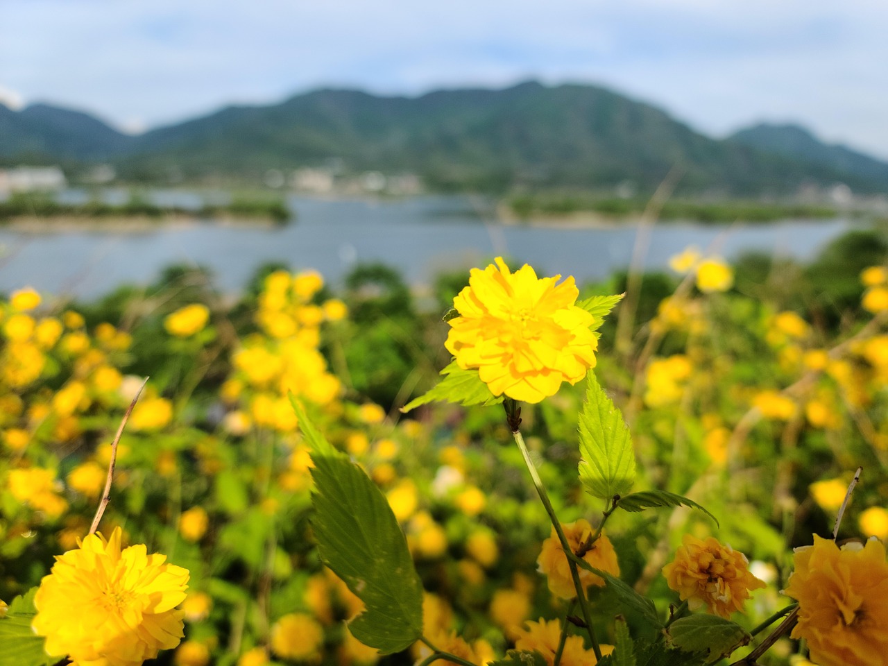 Republic Of Korea Han River For - Free photo on Pixabay - Pixabay