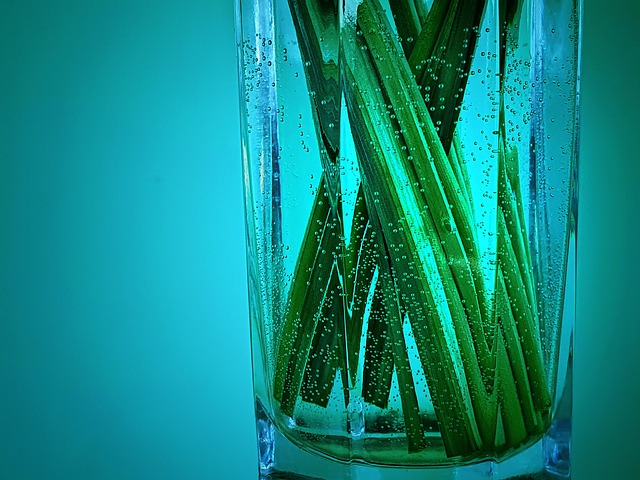 Glass Water Transparent - Free photo on Pixabay - Pixabay
