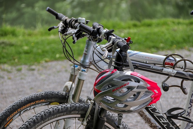 Bicycle Trip Mountain Bike - Free photo on Pixabay - Pixabay