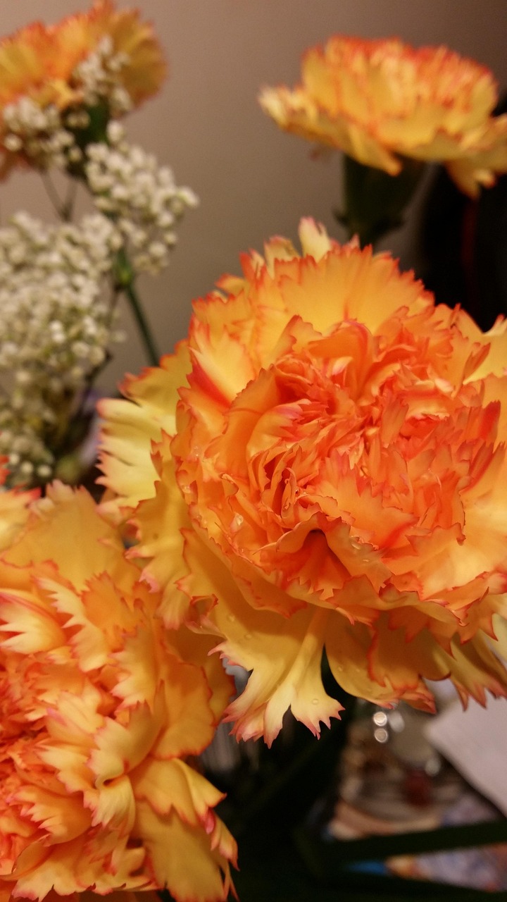 Flores De Clavel De Color Naranja