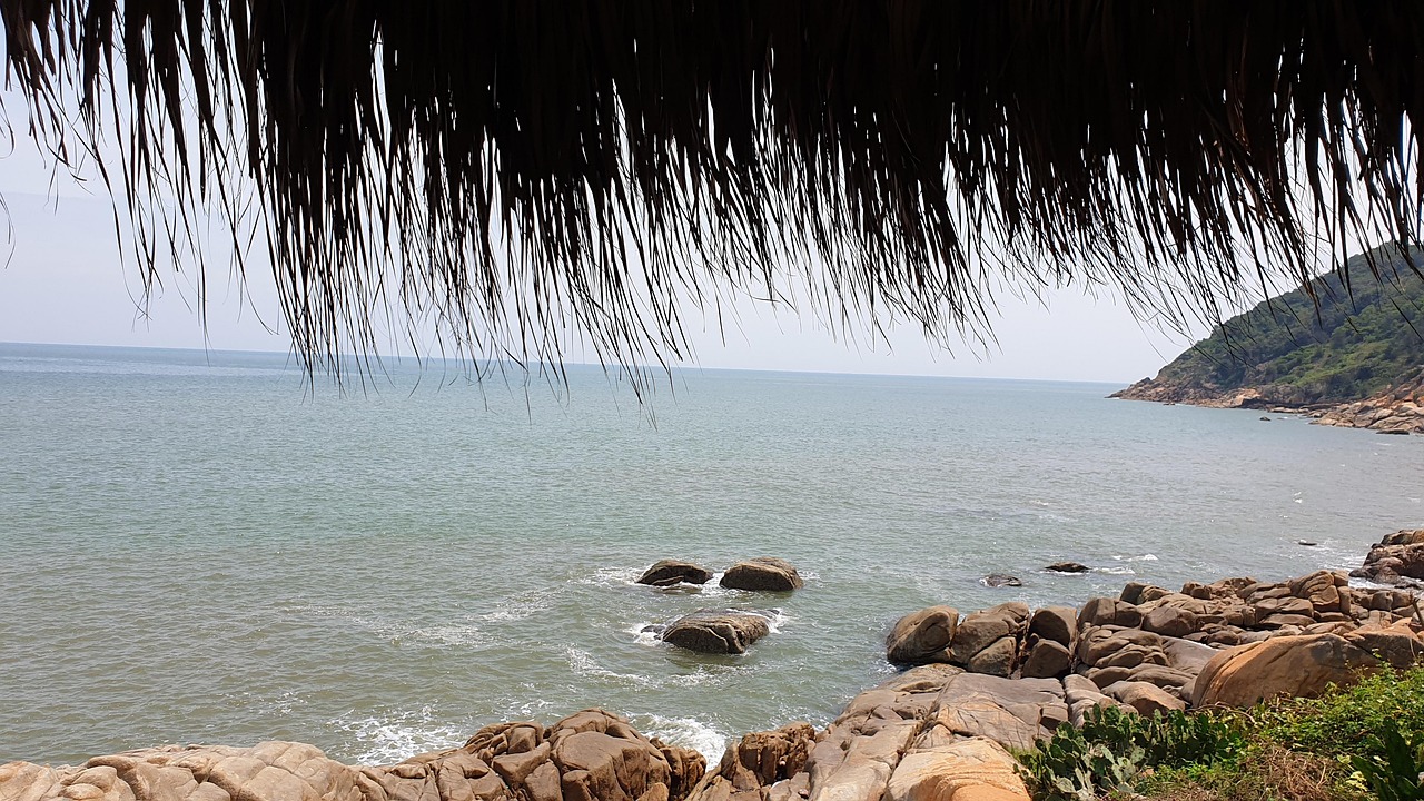 Sea Reef Shore - Free photo on Pixabay - Pixabay