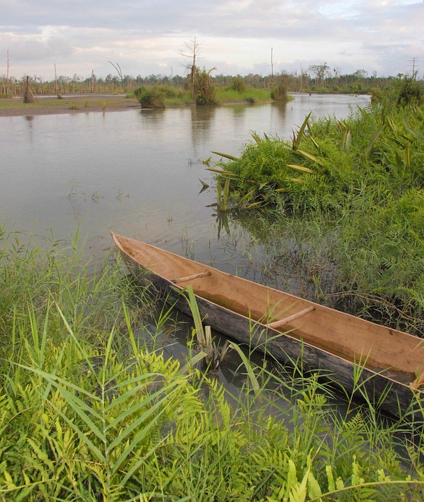 Jungle Canoë - Photo gratuite sur Pixabay - Pixabay