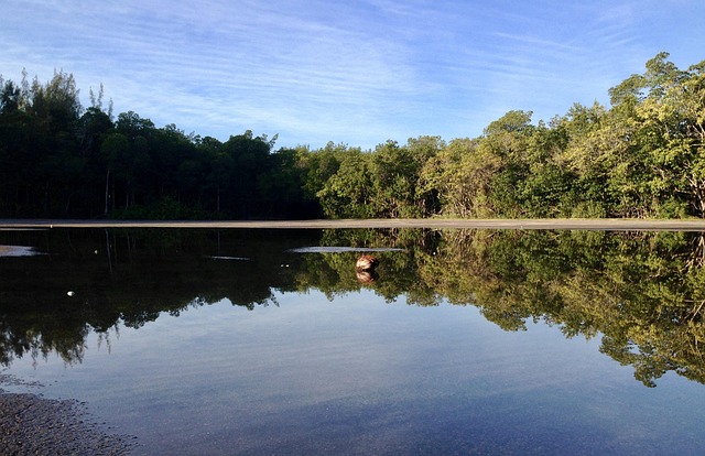 Reflexión Agua Coco - Foto gratis en Pixabay - Pixabay
