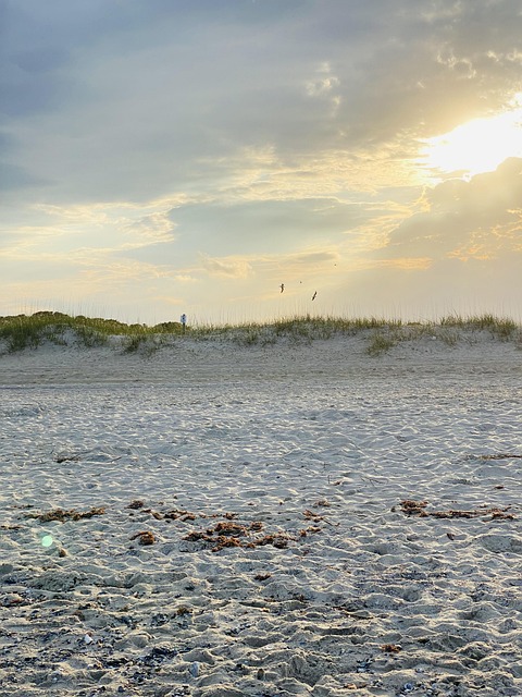 Paradijs Natuur Strand - Gratis foto op Pixabay - Pixabay