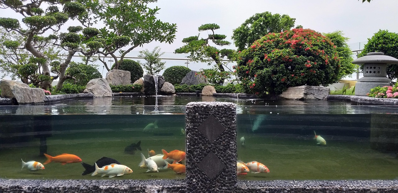 Kolam Ikan Koi Tanaman Dan - Foto gratis di Pixabay - Pixabay