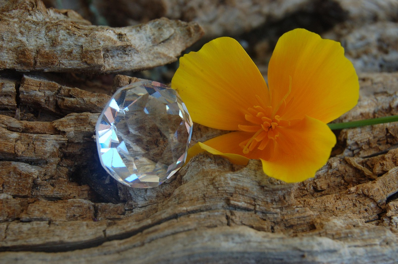 Bunga Swarovski Kristal - Foto gratis di Pixabay - Pixabay