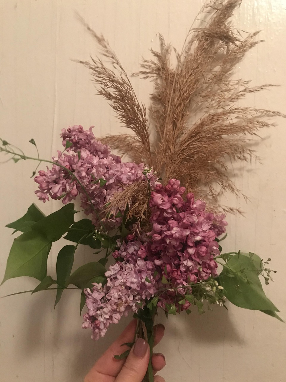 Bouquet Lilac Spring - Free photo on Pixabay - Pixabay