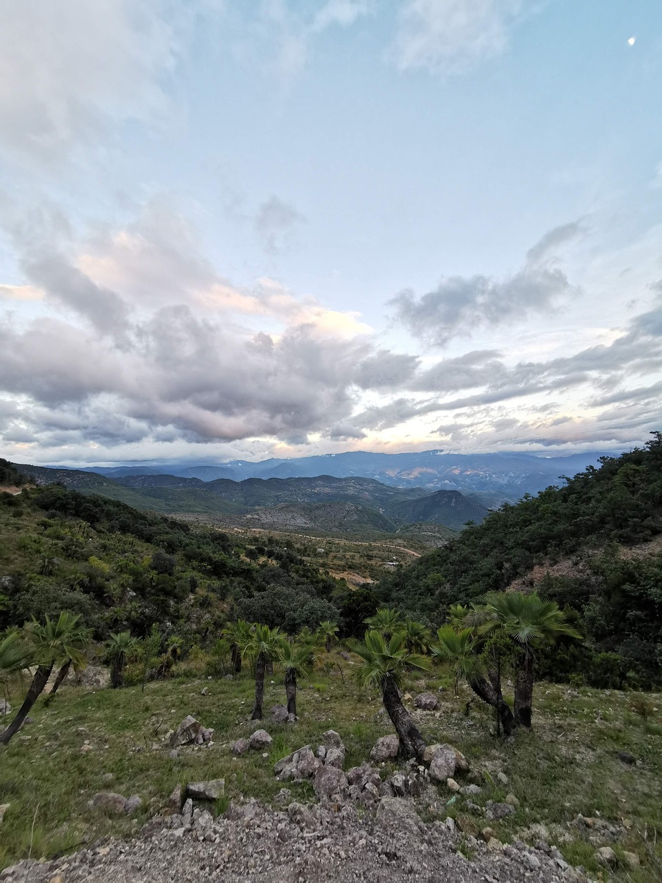 Mexique Nature - Photo gratuite sur Pixabay - Pixabay