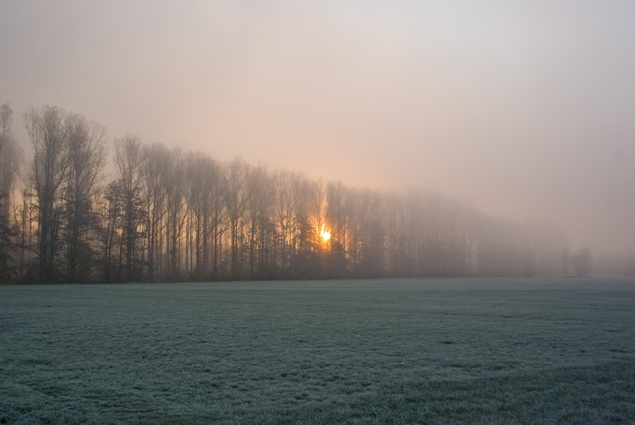 Sunrise Morning Mood Nature - Free photo on Pixabay - Pixabay