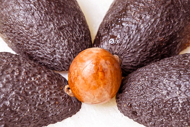 Avocados Gesund Samen - Kostenloses Foto auf Pixabay