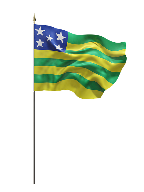 Download Goias, Brazil, Flag. Royalty-Free Stock Illustration Image ...