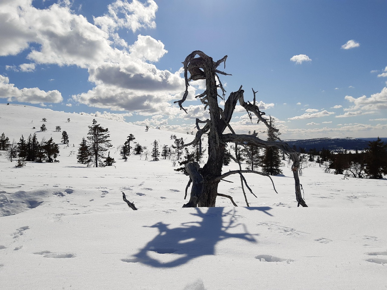 Lapland Spring Sun Mountain In - Free photo on Pixabay - Pixabay