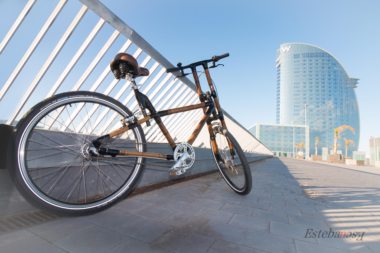 Bici Bike Bicicletta - Foto gratis en Pixabay - Pixabay
