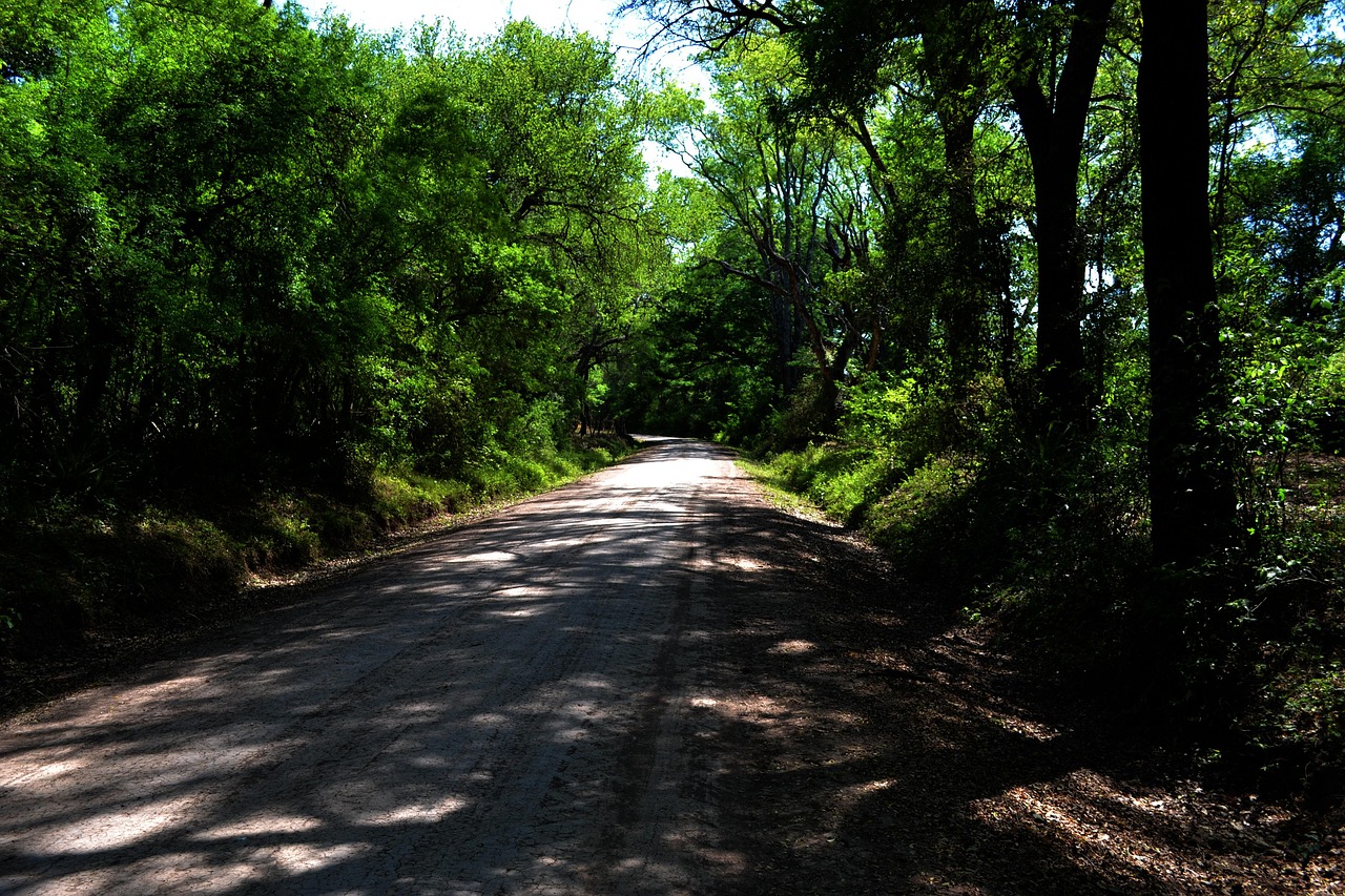 Camino Rural La Carretera - Foto gratis en Pixabay