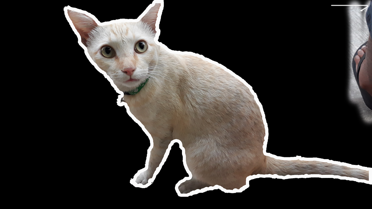 Download Catty, Cat, Pet. Royalty-Free Stock Illustration Image - Pixabay