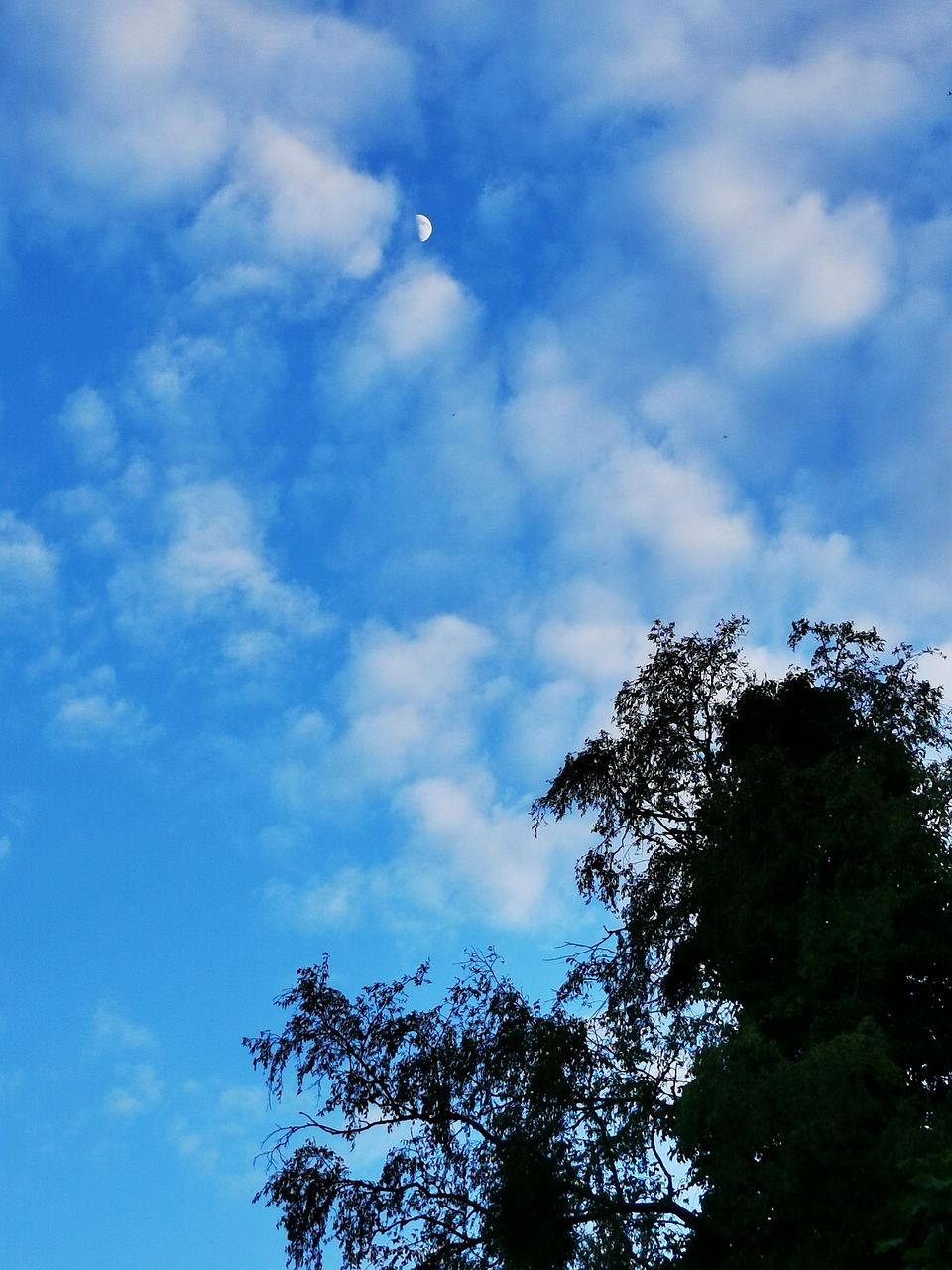 Mond Wolken Himmel Blauer - Kostenloses Foto auf Pixabay - Pixabay