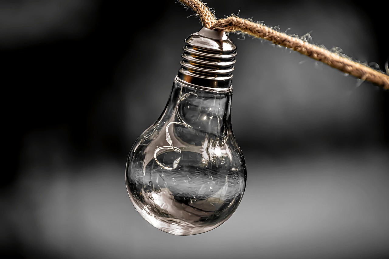 Lightbulb Energy Nature - Free photo on Pixabay