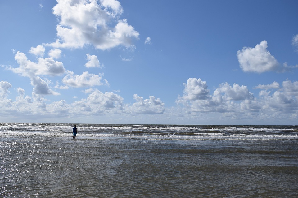 Sea Beach Water - Free photo on Pixabay