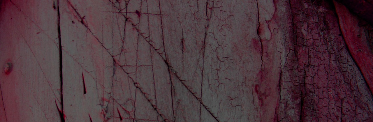 Wood Texture Structure - Free photo on Pixabay - Pixabay