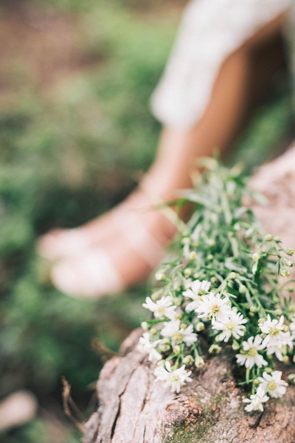 Verde Branco Flores - Foto gratuita no Pixabay - Pixabay