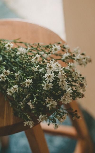 Flores Verde Branco - Foto gratuita no Pixabay - Pixabay