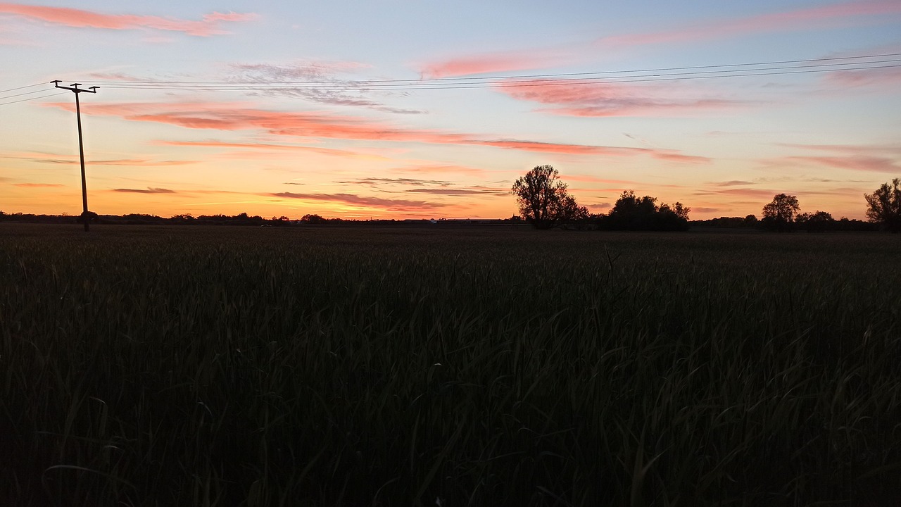 Field Nature Landscape - Free photo on Pixabay - Pixabay