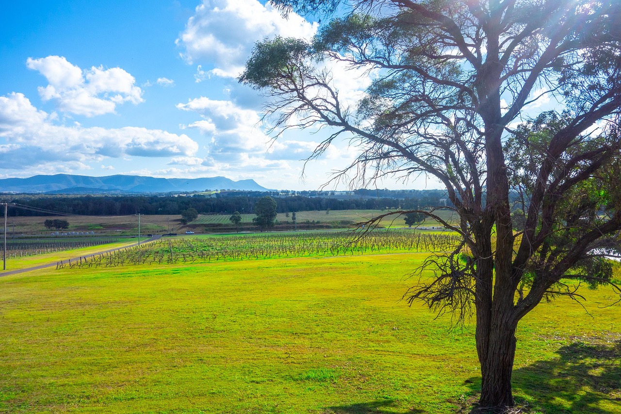 Hunter Valley Region Nsw - Free photo on Pixabay - Pixabay