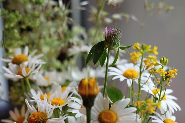 Fleur De Prairie Fleurs Bouquet - Photo gratuite sur Pixabay - Pixabay
