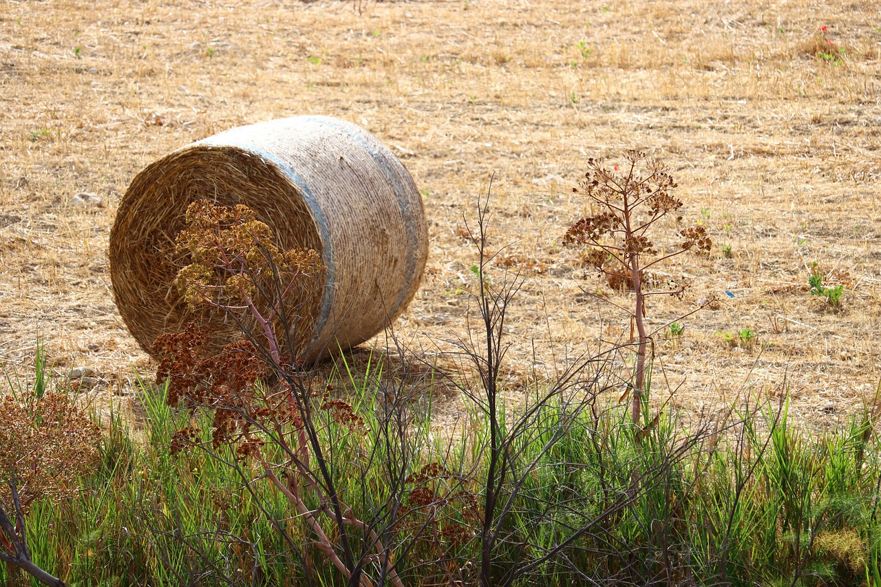 Countryside Hay Wheel - Free photo on Pixabay - Pixabay