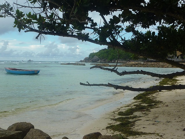 Seychelles Beach Tropical - Free photo on Pixabay - Pixabay