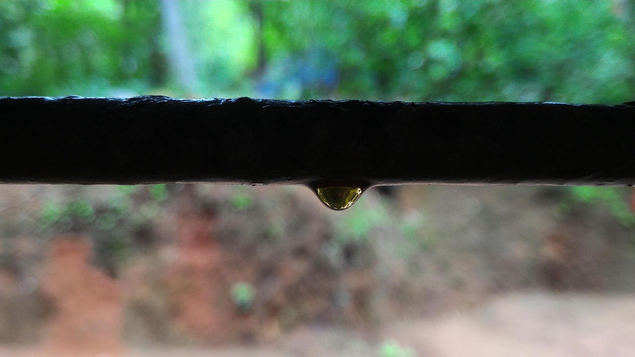 Drop Of Rain Natural Photography - Free photo on Pixabay - Pixabay