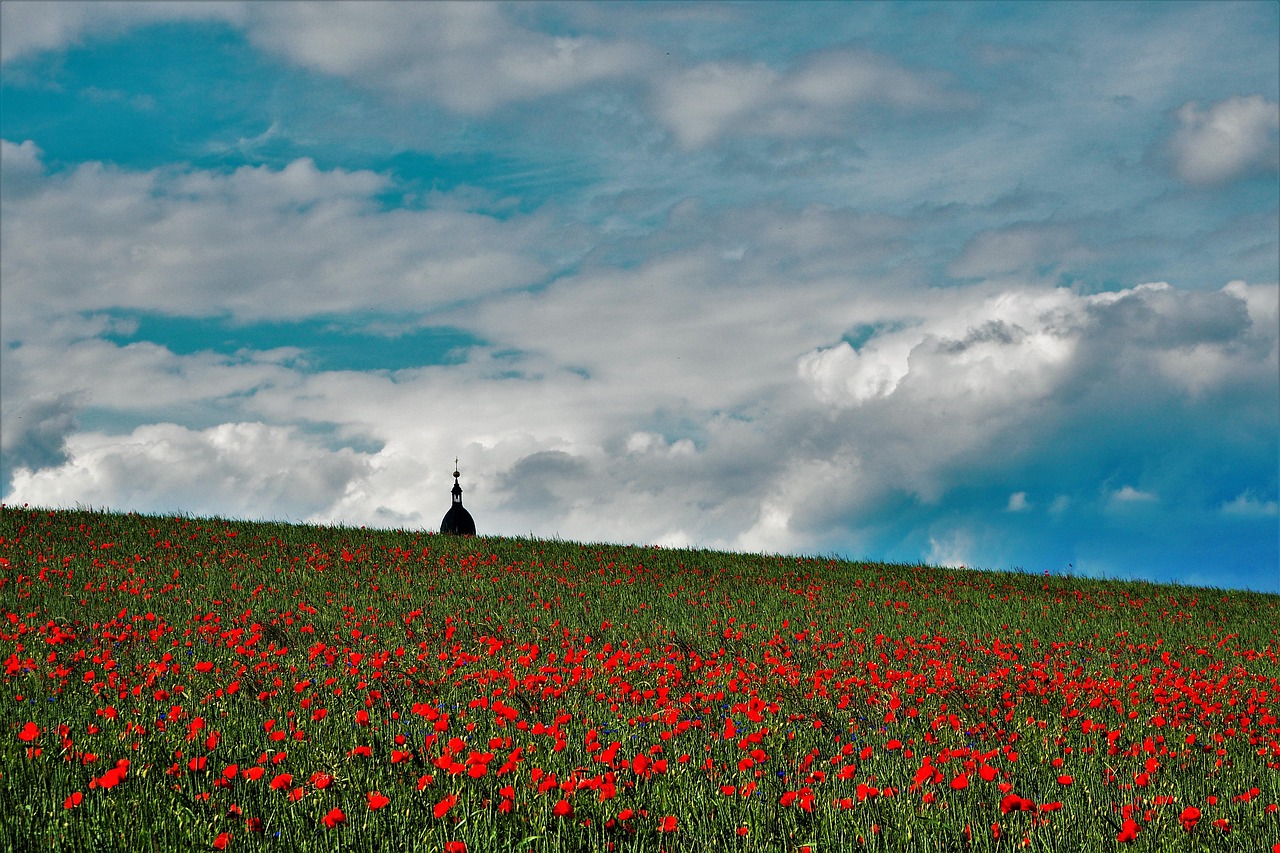 4+ Free Biofield & Poppy Field Images - Pixabay