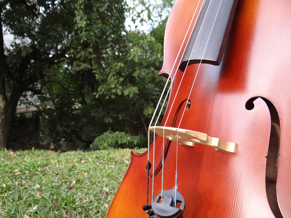 Musik Selo Cello - Foto gratis di Pixabay